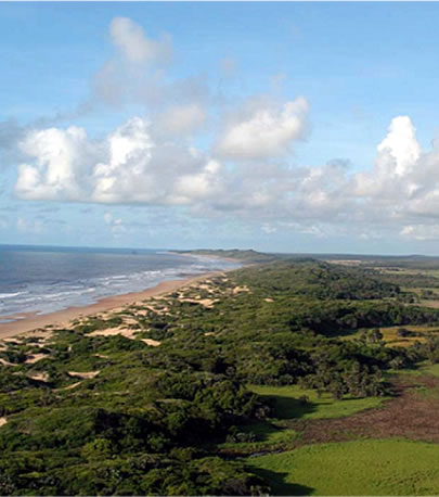 Biodiversity Hotspots in Africa