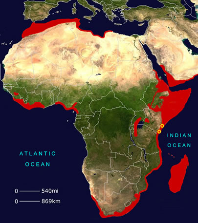 Biodiversity Hotspots in Africa