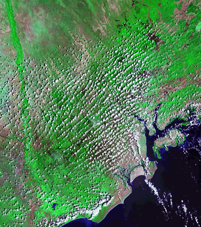 Biodiversity Hotspots| African Wild Dog Conservancy